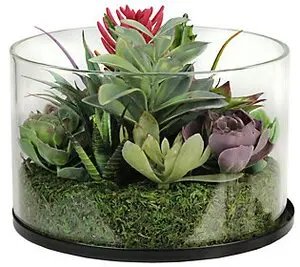 NORTHLIGHT Mixed Succulent Arrangement In Glass Jar - One-color