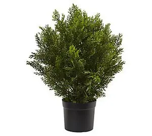 NEARLY NATURAL 2' Cedar Bush By - One-color