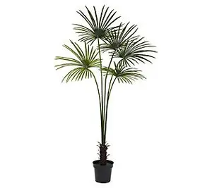 NEARLY NATURAL 7' Fan Palm Tree By - One-color