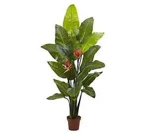 NEARLY NATURAL 58' Bird Of Paradise Plant By - One-color