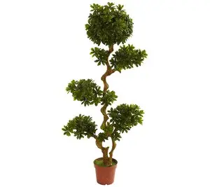 NEARLY NATURAL 5' Pittispourm Tree By - One-color