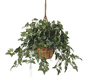 NEARLY NATURAL English Ivy Hanging Basket Silk Plant By - One-color