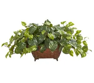 NEARLY NATURAL Pothos Artificial Plant In Metal Planter - One-color