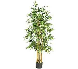 NEARLY NATURAL 64' Bamboo Tree By - One-color