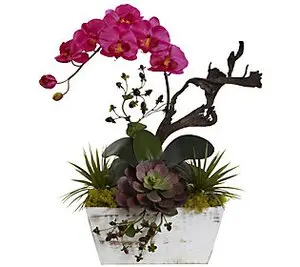 NEARLY NATURAL Orchid & Succulent Garden With Planter Nearl Y Natural - One-color