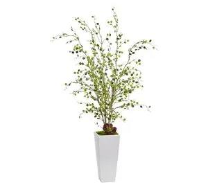 NEARLY NATURAL Night Willow In White Planter By - One-color