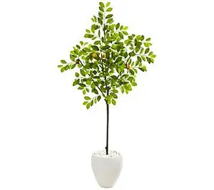 NEARLY NATURAL 68' Lemon Tree In White Planter By - One-color