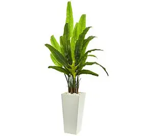 NEARLY NATURAL 69' Travelers Palm Tree In Planter Nearly Na Tural - One-color