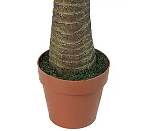 NORTHLIGHT 6' Potted Artificial Phoenix Palm Tr Ee