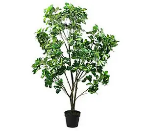 NORTHLIGHT Potted Artificial Two Tone Scheffera Plant Tree - One-color