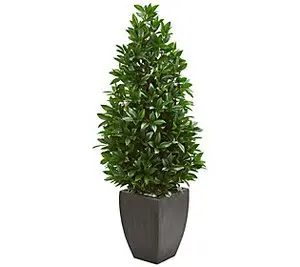 NEARLY NATURAL 56' Bay Leaf Cone Topiary In Black Planter N Early Natural - One-color