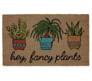DESIGN IMPORTS Hey There Fancy Plants 18 X 30 Doormat - One-color