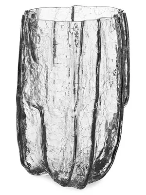KOSTA BODA Crackle Clear Vase One-color