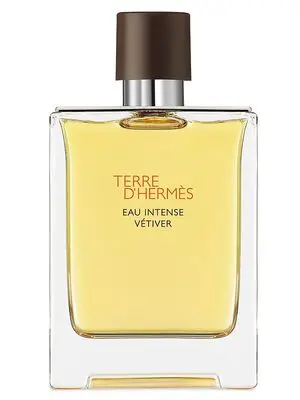 Hermès Terre D' Eau Intense Vetiver
