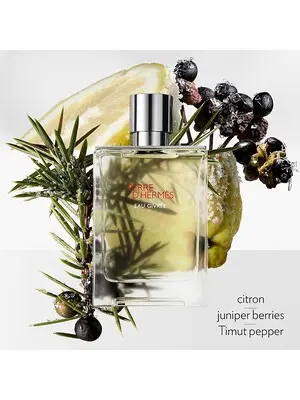 Hermès Terre D' Eau Intense Vetiver