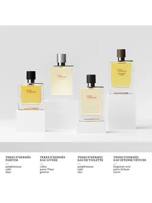 Hermès Terre D' Eau Intense Vetiver