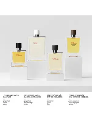 Hermès Terre D' Eau Intense Vetiver