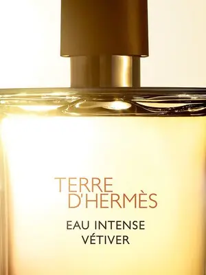 Hermès Terre D' Eau Intense Vetiver