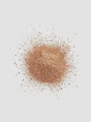 Dior Skin Forever Cushion Powder