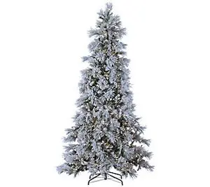 GERSON INTERNATIONAL 9' Pre-lit Lightly Flocked Snowbell Pine With 9 00 Lights - One-color
