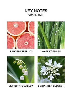 NEST NEW YORK Grapefruit Liquid Soap