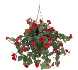 NEARLY NATURAL Begonia Hanging Basket By - One-color