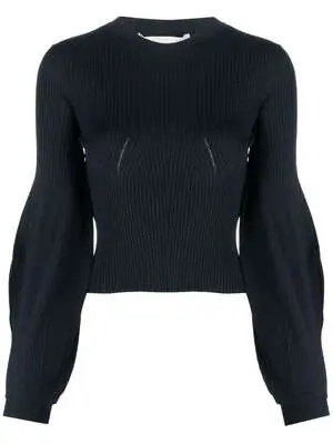 Stella McCartney Ribbed-knit Crewneck Jumper - Blue