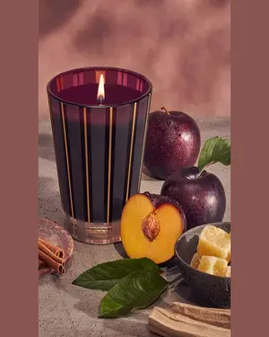 NEST NEW YORK 8.1 Oz. Autumn Plum Classic Candle