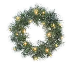 PULEO INTERNATIONAL 24' B/o Glittery Wreath, 50 Tips - One-color