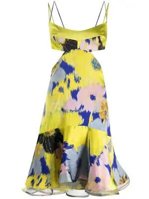 Silvia Tcherassi Analissa Cut-out Detail Dress - Multicolour