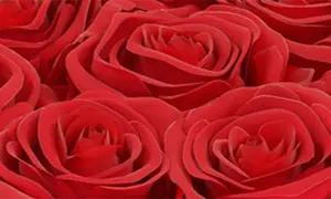 Venus Et Fleur Classic Small Round Eternity Roses