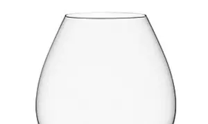 ORREFORS Difference' Fruit Wine Glass