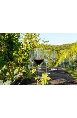 SCHOTT ZWIESEL Pure Set Of 8 Red & White Wine Glasses