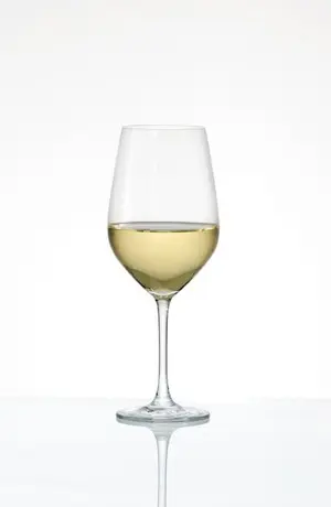 FORTESSA Schott Zwiesel Set Of 6 Forté White Wine Glasses
