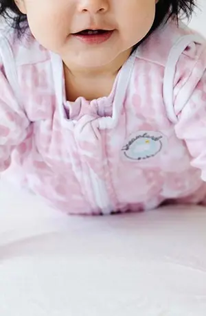 DREAMLAND BABY Dream Weighted Sleep Swaddle