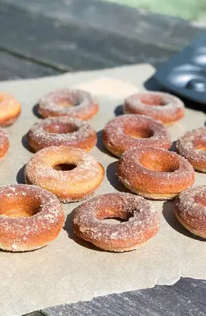 BROOKLYN BREW SHOP Apple Cider Doughnut Making Kit