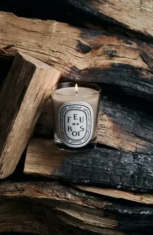 DIPTYQUE Feu De Bois Scented Candle - Clear Vessel