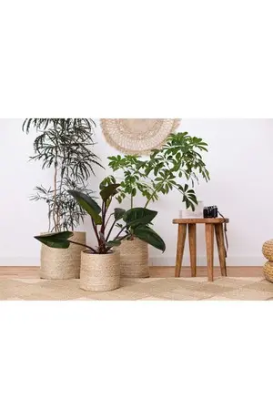WILL & ATLAS Set Of 3 Round Jute Baskets