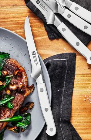 ZWILLING Pro Le Blanc 4-piece Steak Knife Set - Silver