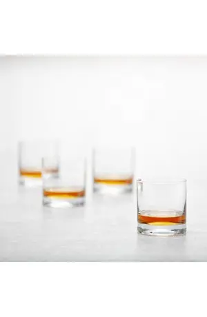 SCHOTT ZWIESEL Paris Set Of 6 Iceberg Double Old Fashioned Glasses