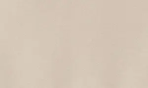 Nordstrom 400 Thread Count Organic Cotton Pillowcases - Tan Thread