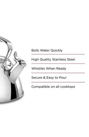 ALL-CLAD 2-quart Tea Kettle
