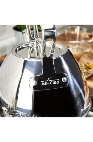 ALL-CLAD 2-quart Tea Kettle