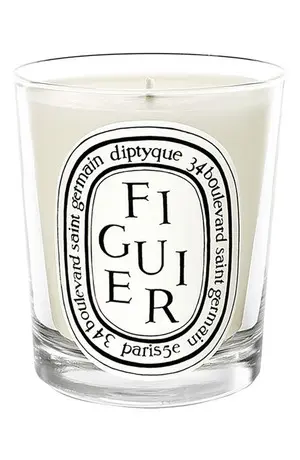 DIPTYQUE Figuier (fig) Medium Scented Candle Clear Vessel
