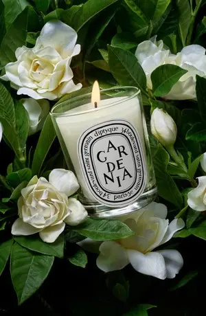 DIPTYQUE Gardenia Scented Candle