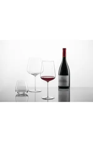 ZWIESEL GLAS Schott Zwiesel Vervino Set Of 6 Bordeaux Wine Glasses