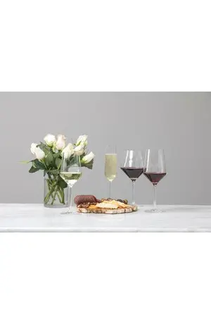 SCHOTT ZWIESEL Pure Set Of 6 Sauvignon Blanc Wine Glasses
