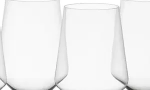 SCHOTT ZWIESEL Pure Set Of 6 Sauvignon Blanc Wine Glasses