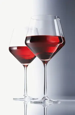 SCHOTT ZWIESEL Pure Set Of 6 Burgundy Wine Glasses