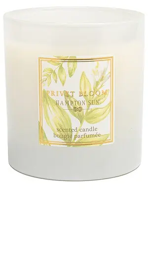 Hampton Sun Candles & Room Scents Products For Women